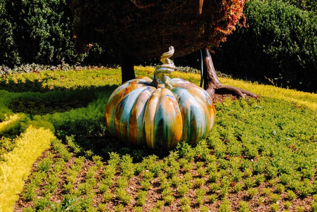 The Great Pumpkin Growing Competition: A Backyard Battle in Indianapolis